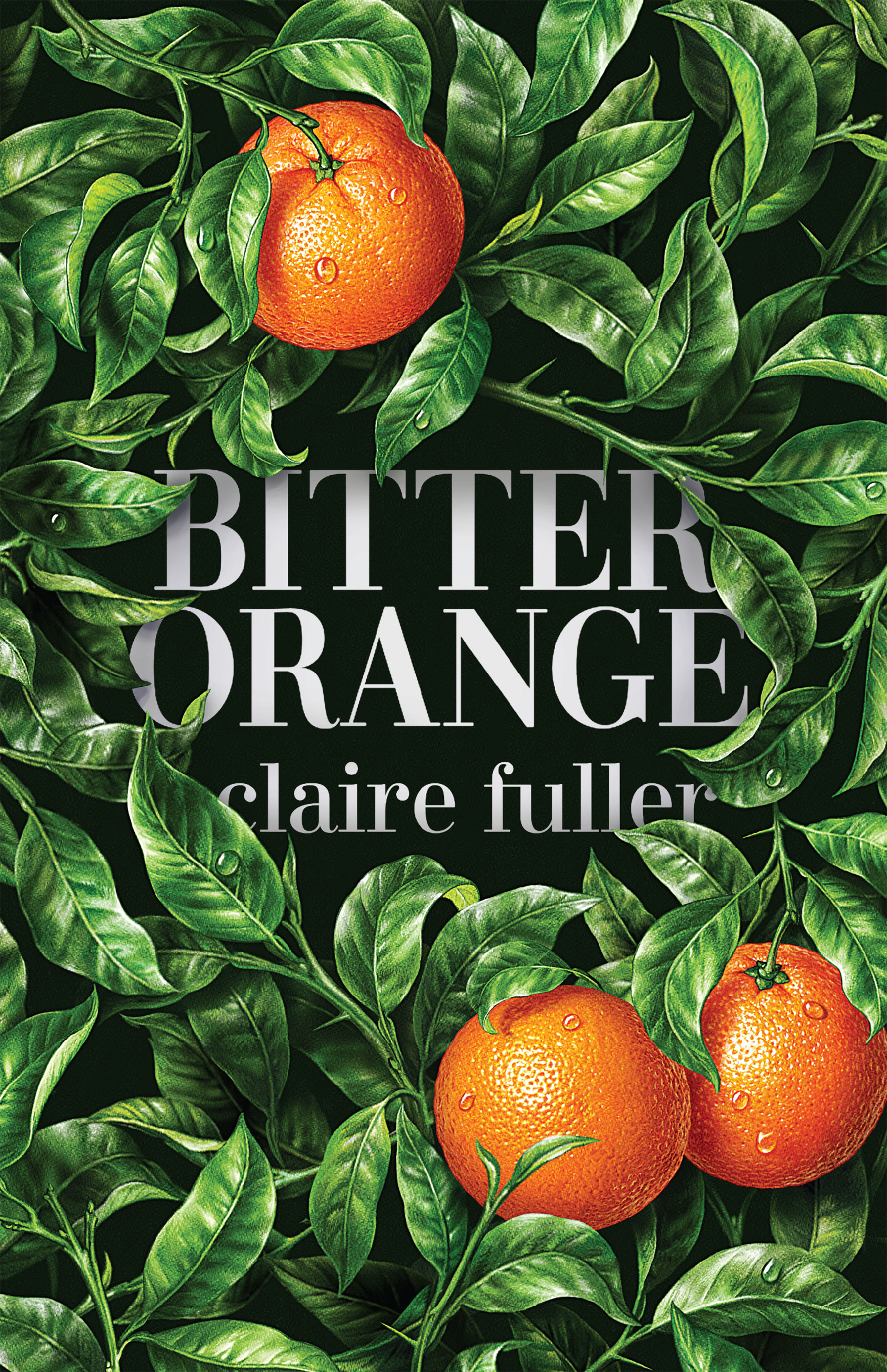 Book titles: Bitter Orange | Claire Fuller