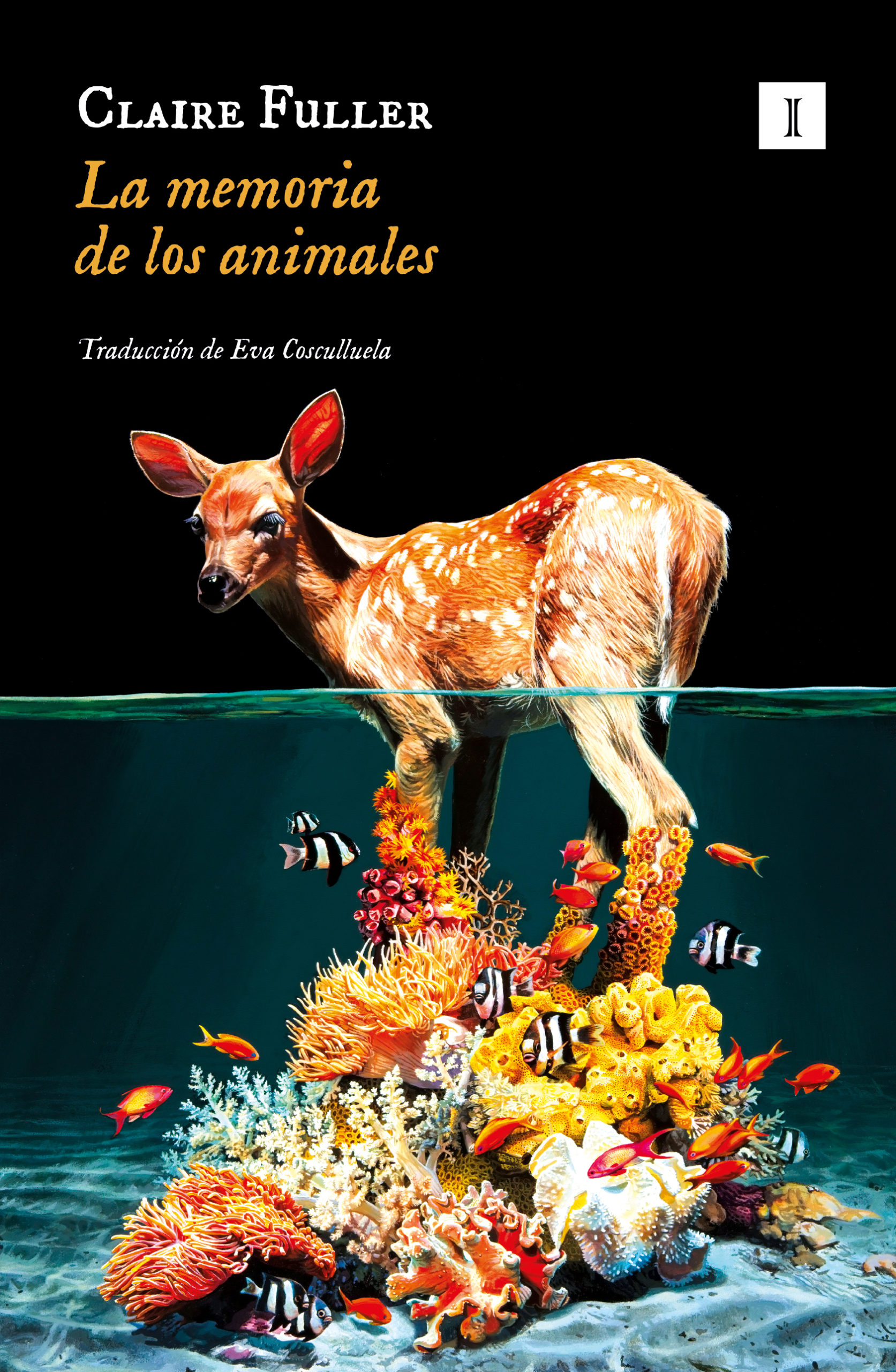 The Memory of Animals | Claire Fuller
